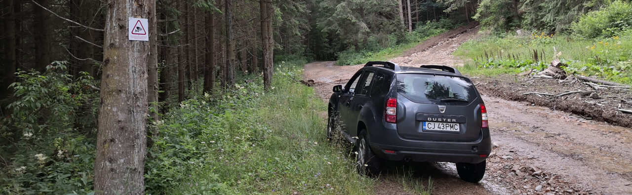 EPMC Consulting | asistență tehnică pentru scriere aplicații de ...